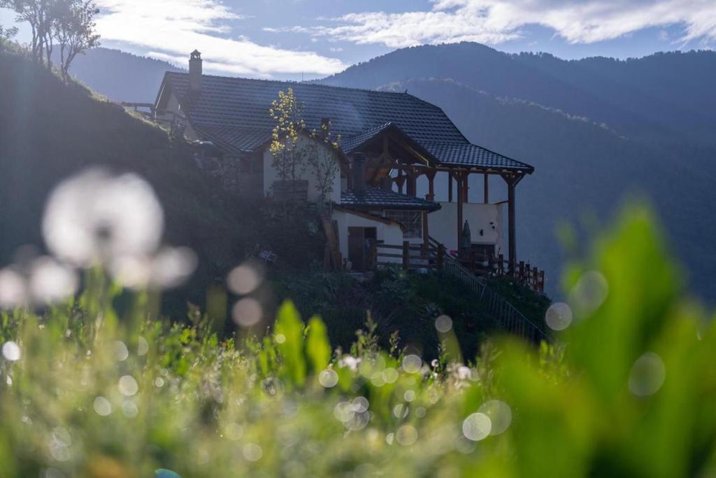 Alpin Zeneli Chalet, Çerem (updated prices 2026)