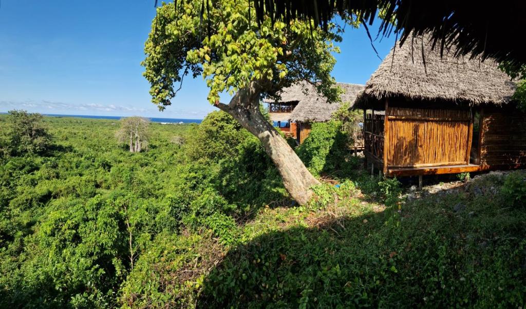 MONKEY MOUNTAIN LODGE, Mtende (updated prices 2024)