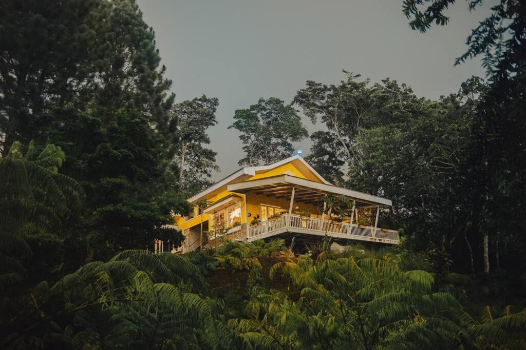 Cuki House, Quesada (updated prices 2024)