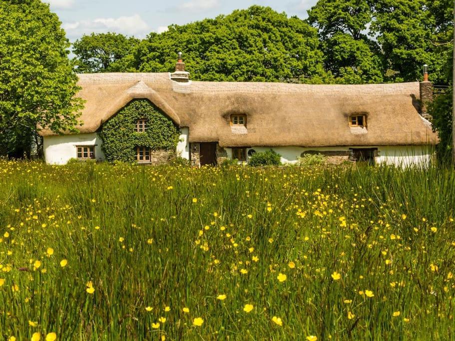 Hay Meadow Farm, Cosy Thatched Holiday Cottage, Beaworthy (updated ...