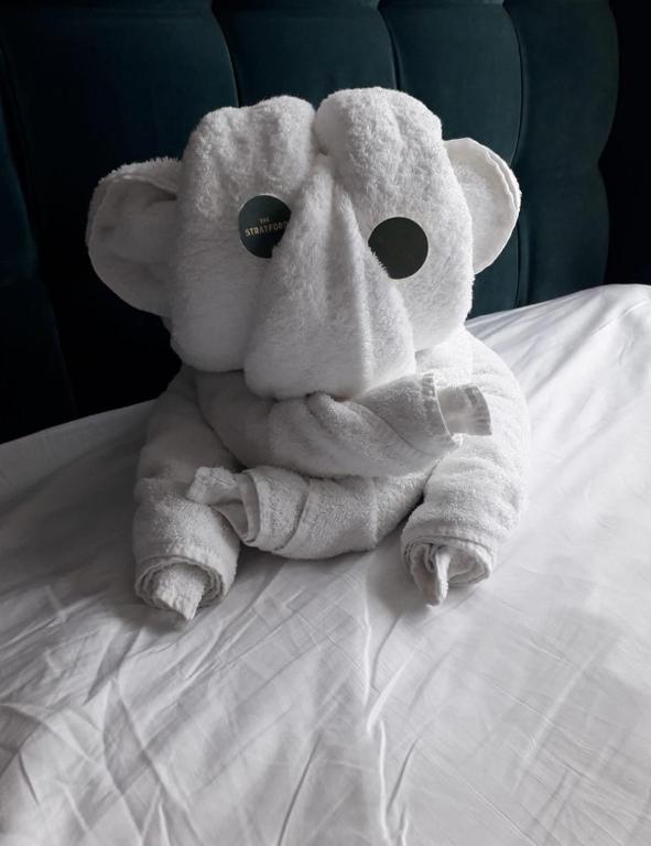 VICTORIA HOSTEL, Canavial – Updated 2024 Prices