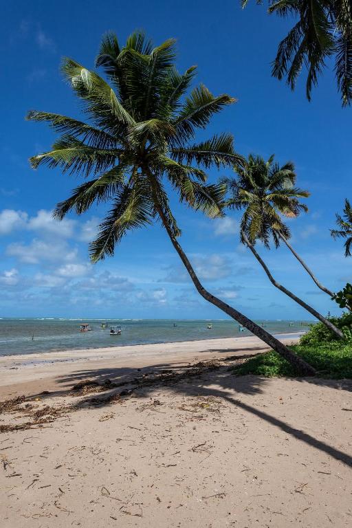 Paraíso beira-mar na Praia do Patacho - 4 suítes, Pôrto de Pedras ...
