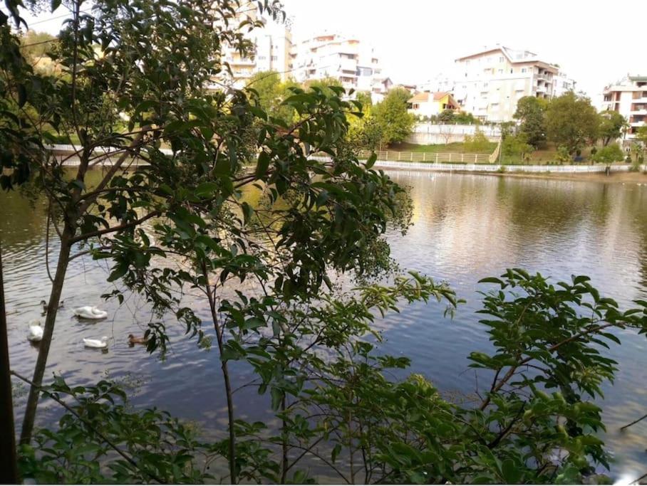 Lake View - Tirana, Albania, Selita e Vogël (updated prices 2026)