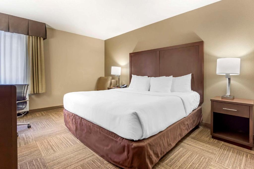 Comfort Inn & Suites Sea-Tac Airport, SeaTac (updated prices 2025)