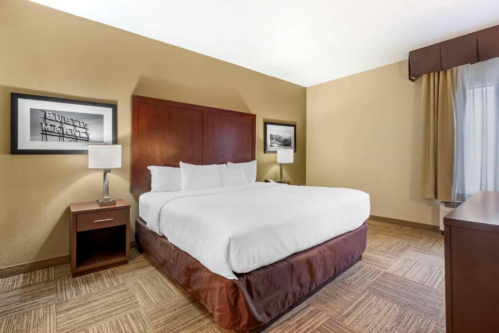 Comfort Inn & Suites Sea-Tac Airport, SeaTac (updated prices 2025)
