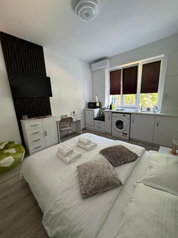 Vert Studio, Onești (updated prices 2025)