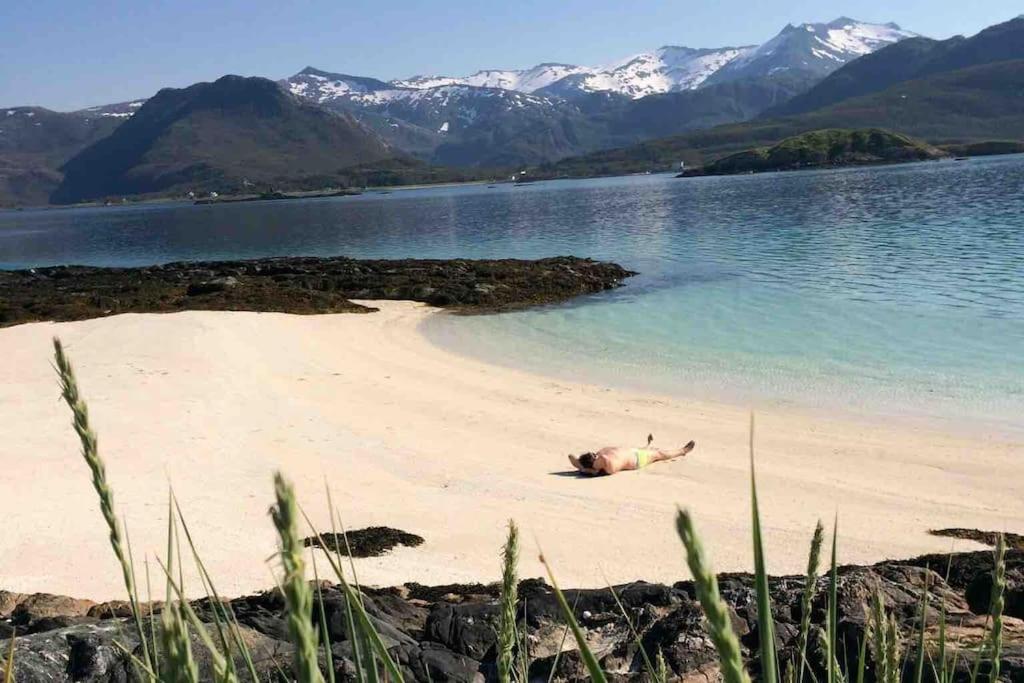 Rural life on the rough coastline of Senja, Skaland (updated prices 2025)