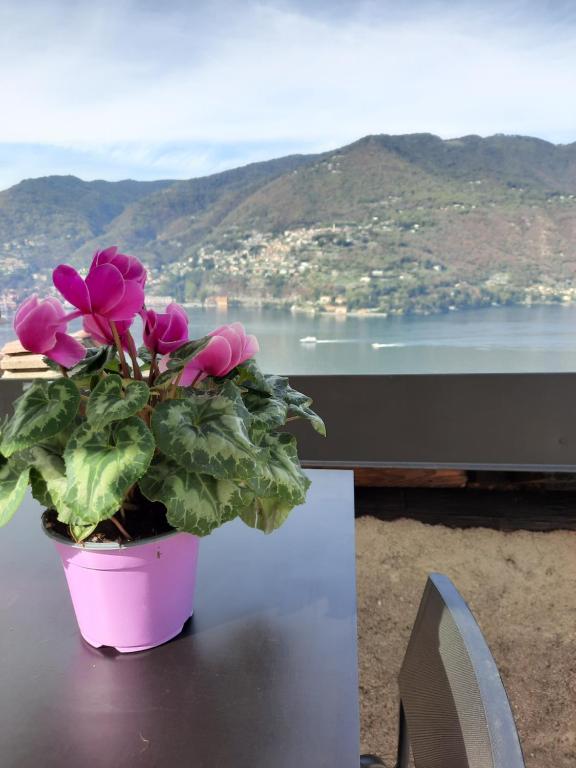 Luxury Room La Terrazza sul Lago di Como, Blevio (updated prices 2025)