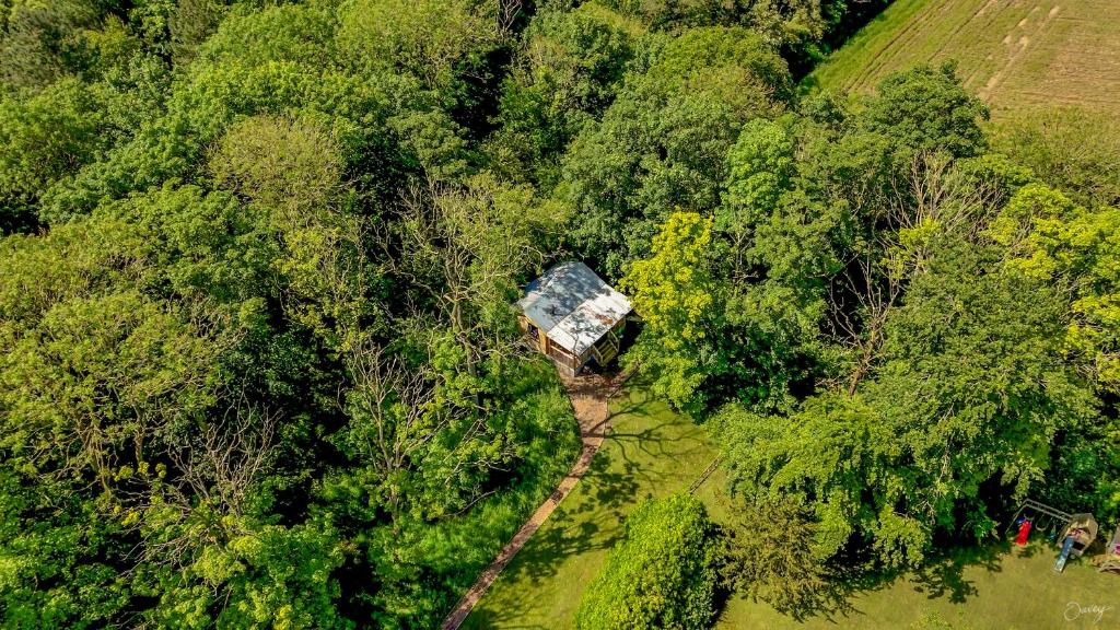 Deer View Cabin - Woodland, beaches and Hot tub, Hull (updated prices 2025)