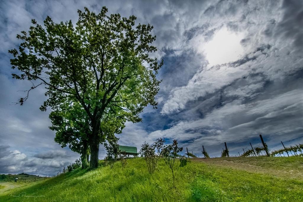 small house Monferrato, Fontanile (aktualizované ceny na rok 2024)