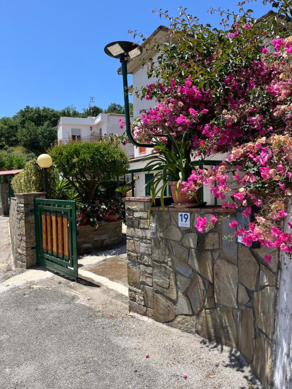 Il Sole di Pioppi, Pollica (updated prices 2026)