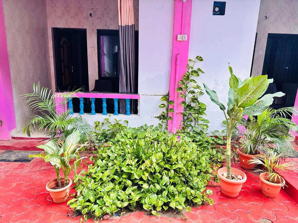 Blue Mirage Palolem Goa, Canacona (updated prices 2026)