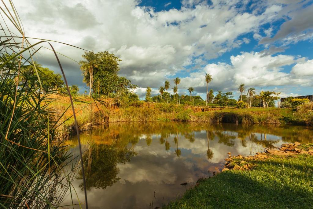 Mbuni Granja de Avestruz, Nueva Colombia (updated prices 2025)