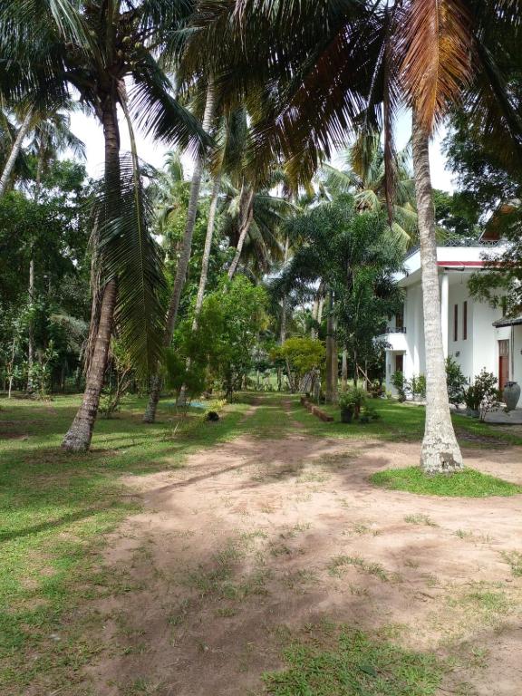 The Escape, Minuwangoda, Minuwangoda (updated prices 2025)
