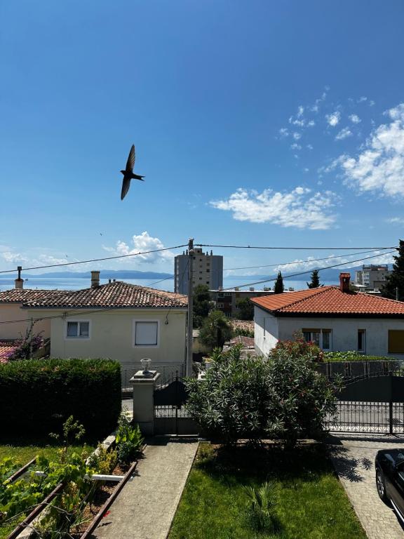 Studio Apartment Rijeka Zamet 500m from Sea with free Parking and near ...