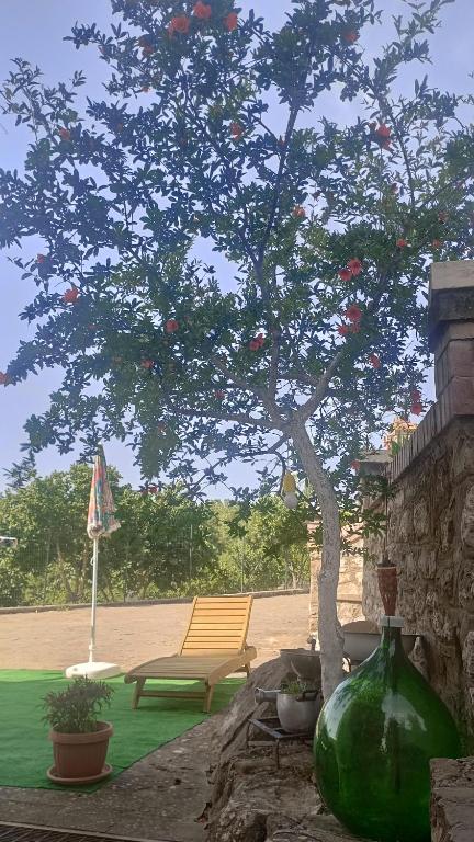 Il Sottobosco, Satriano di Lucania (updated prices 2025)