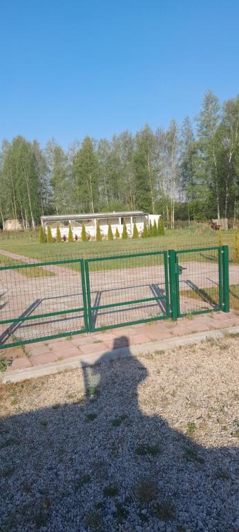 Bermudi, Dobele (posodobljene cene za leto 2025)