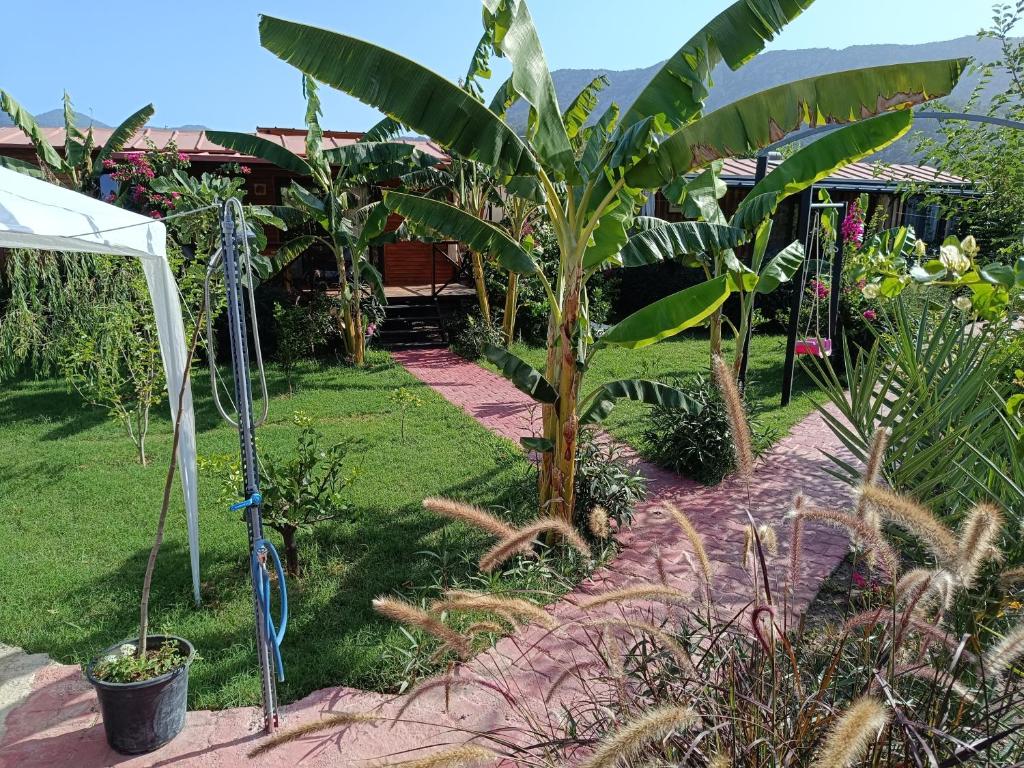 Arlin Bungalows, Kemer (aktualisierte Preise für 2025)