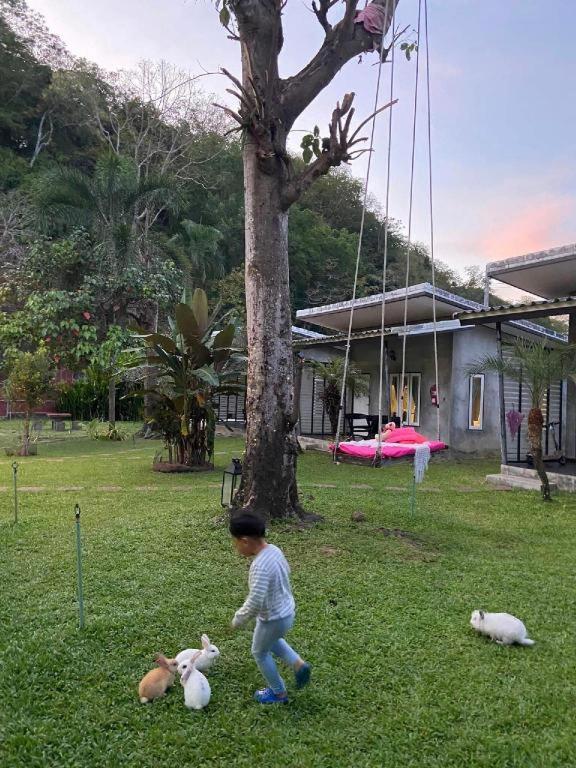 V Valley Resort, Satun (updated prices 2026)