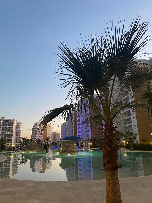 1+1 - Caesar resort, Iskele (updated prices 2026)