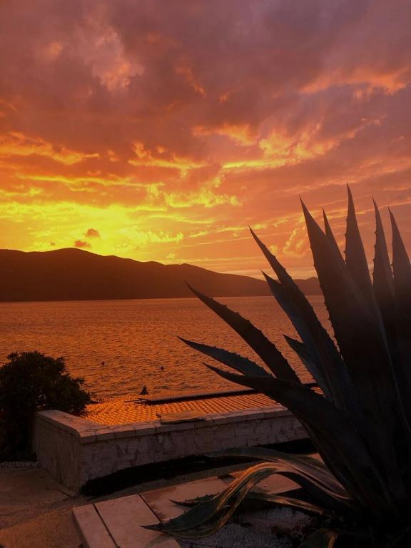 Feral Beach, Neum (updated prices 2025)