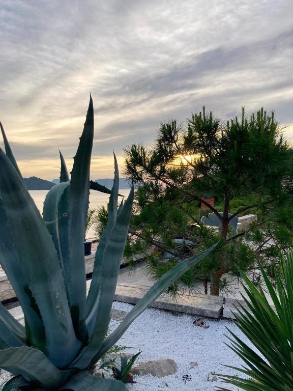 Feral Beach, Neum (updated prices 2025)