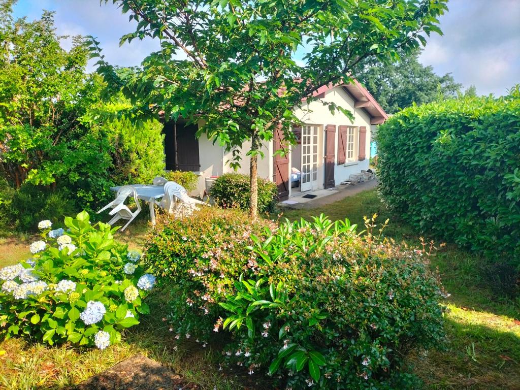 Maison 40m 2, Linxe (updated prices 2025)