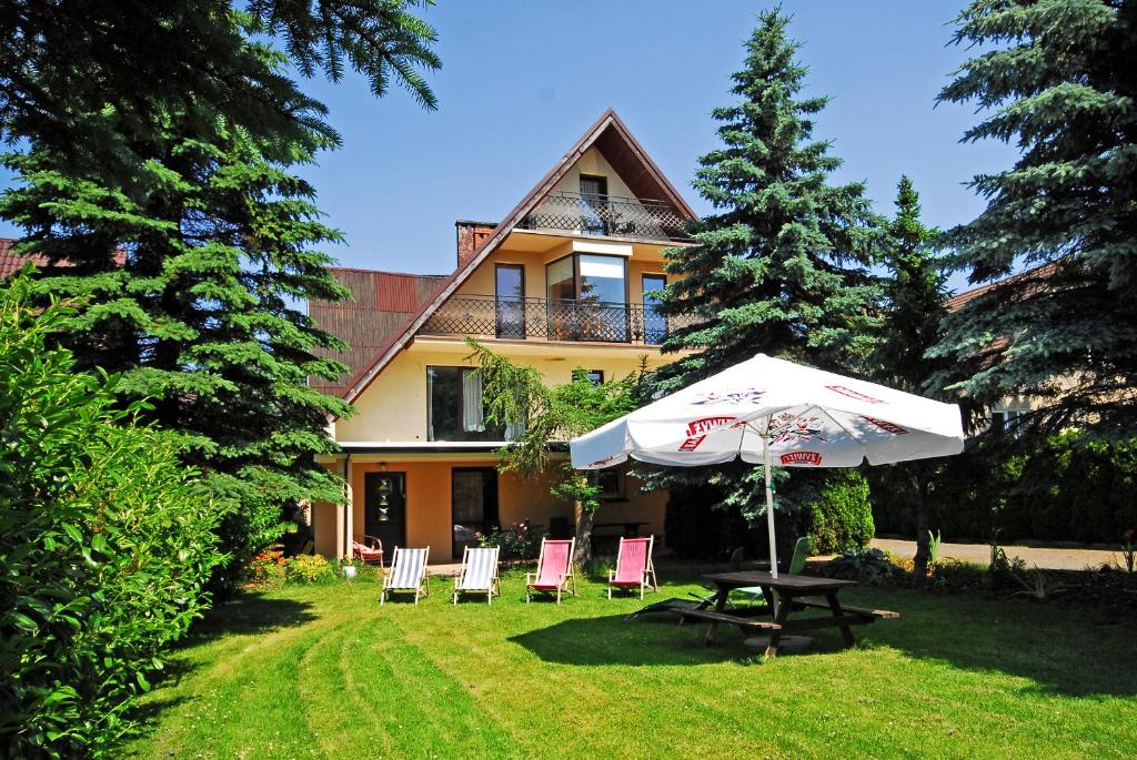 Adonis, Chłopy (updated prices 2026)