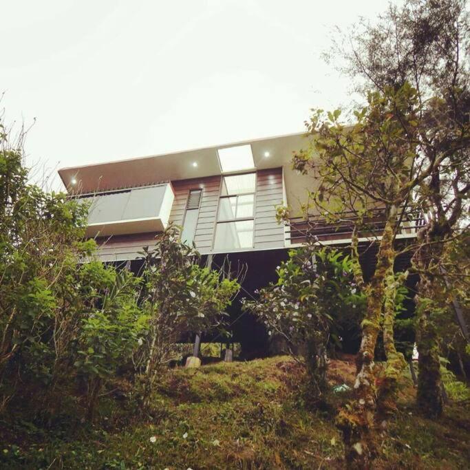 Cozy Rainforest Loft for vacation or work, Paraíso (precios ...