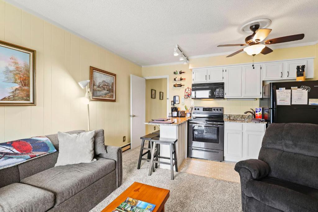 301 Pinnacle Inn Rd Unit 3303B by Carolina Stays, Beech Mountain ...