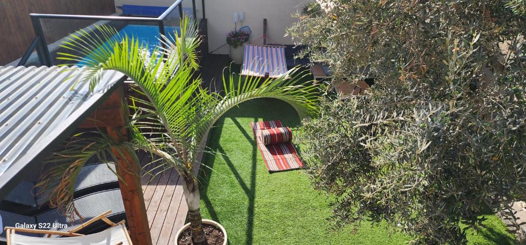 Amy's paradis גן העדן של איימי, ‘Isfiyā (atjauninātas cenas 2024)