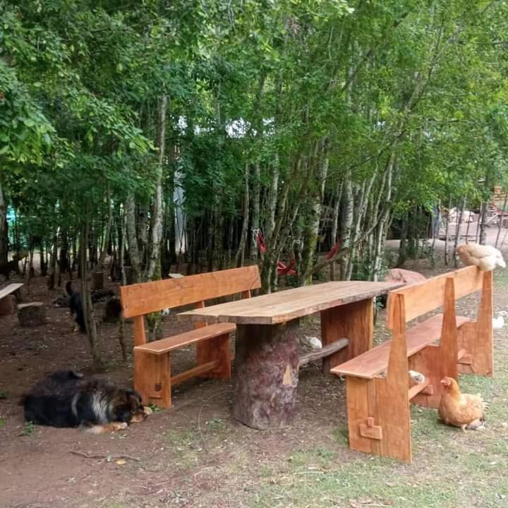 Refugio Pucura, Pucura (aktualisierte Preise für 2025)