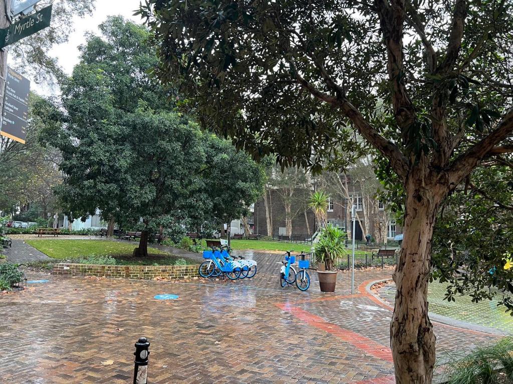 Chippendale 2b1b Female Only, Sídney (precios actualizados 2025)