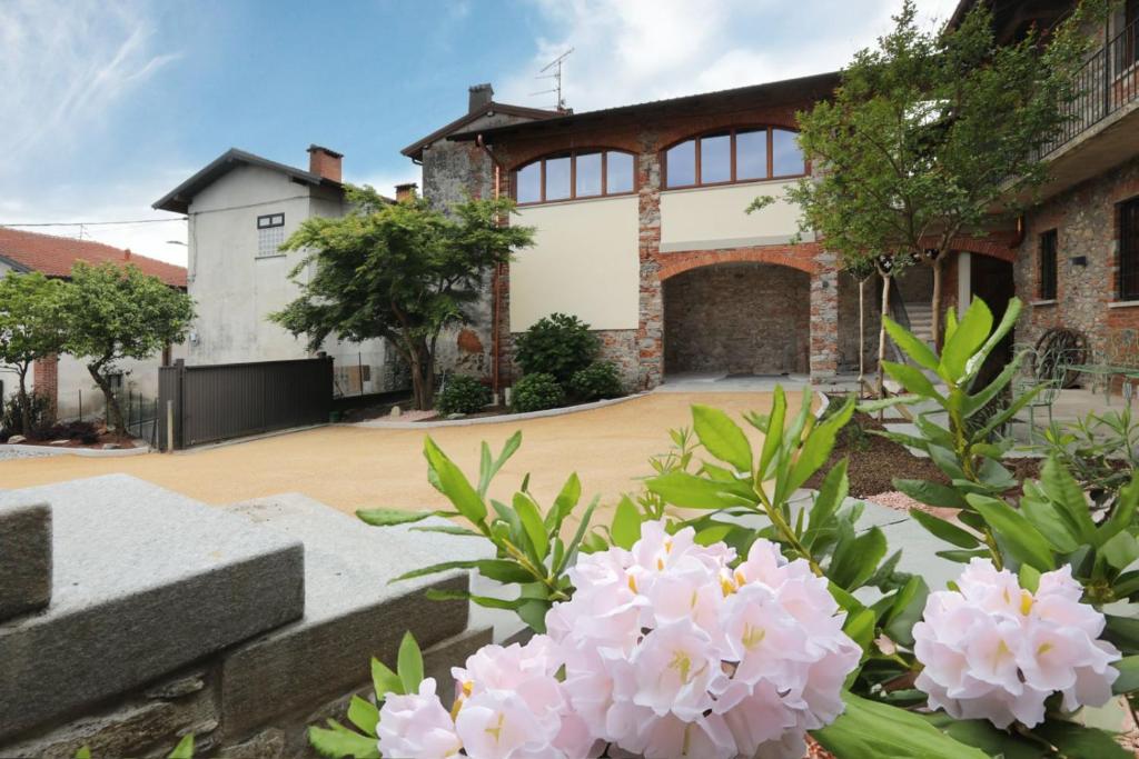 GreenRose, Osmate Lentate (updated prices 2026)