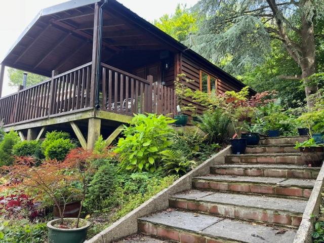Woodland Views Lodge, Blandford Forum (updated prices 2025)