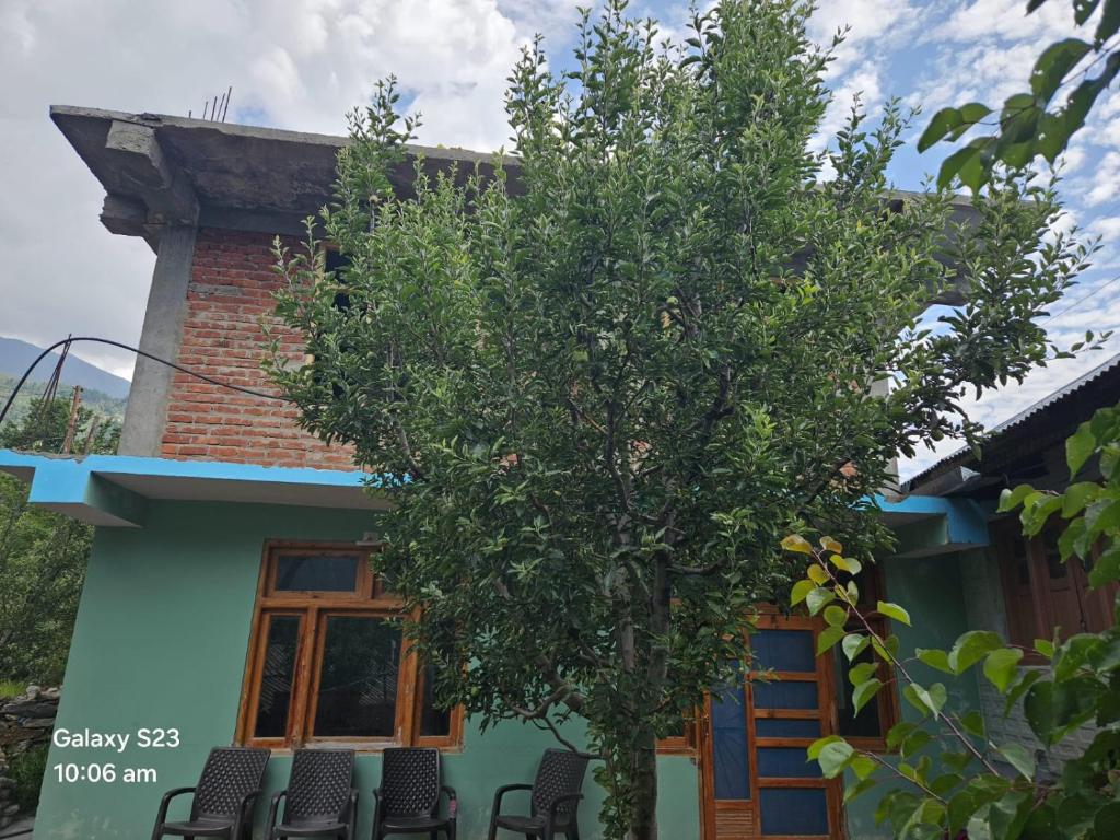 the chinney hut, Chini (updated prices 2025)