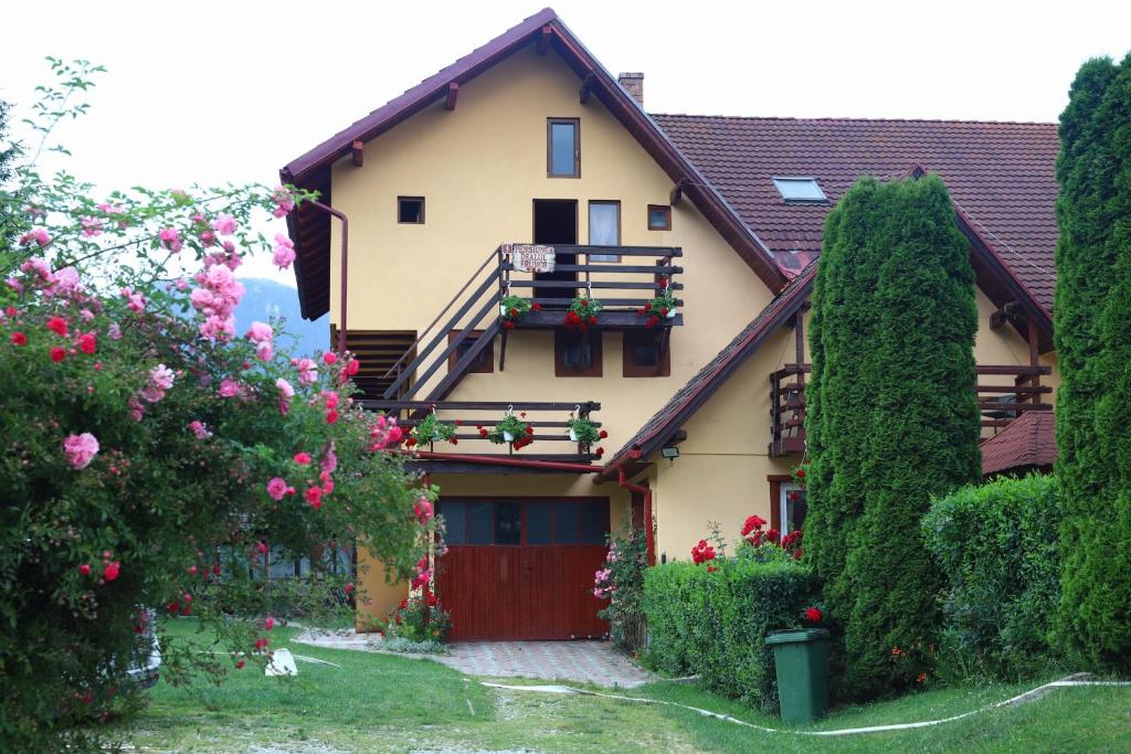 Pensiunea Dealul Frumos, Bran (updated prices 2026)