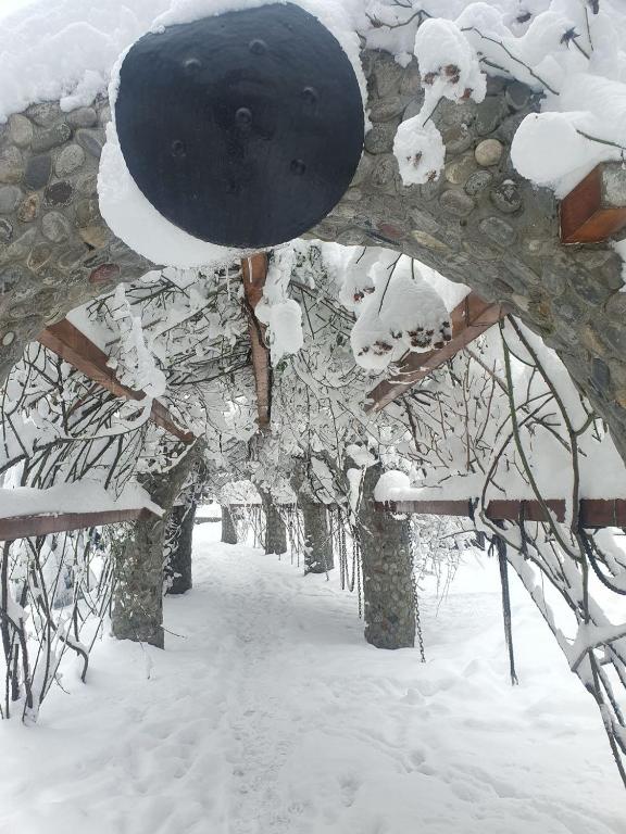 Sangar Gala Resort Hotel, Qax (updated prices 2025)