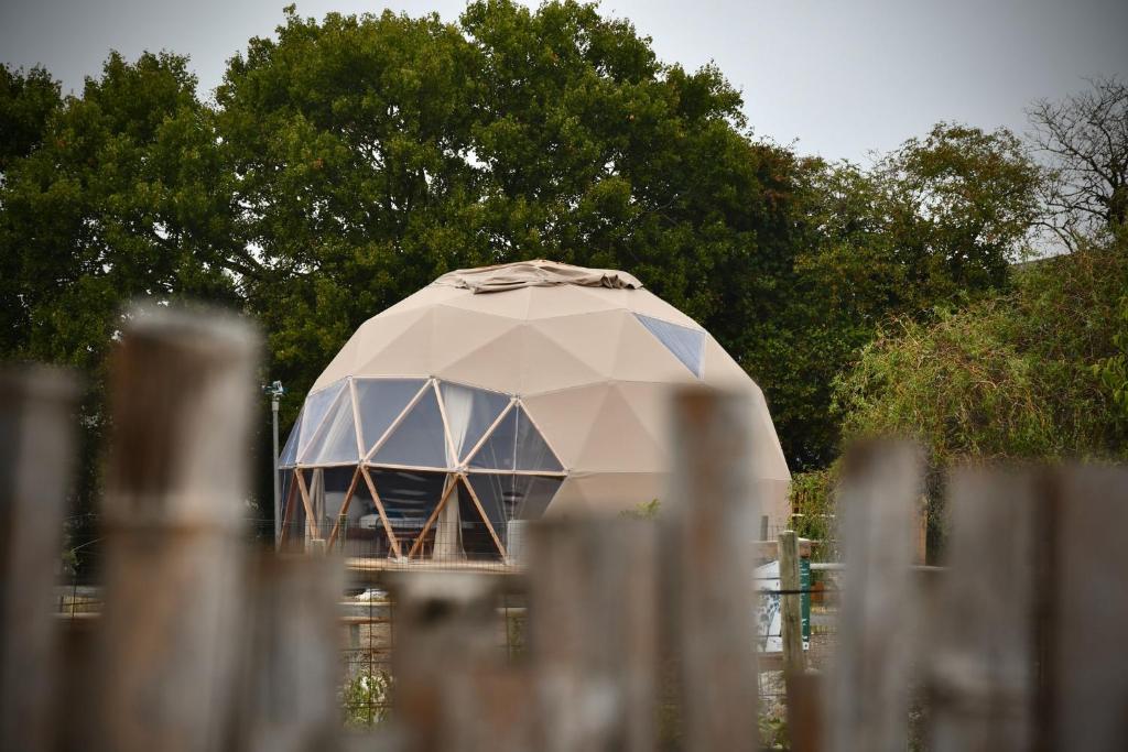 Parc Du Coq à l'Âne - Lodges Insolites, Saint-Georges-de-Rex (updated ...