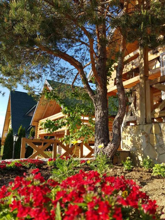 API komora Zlatibor, Zlatibor (updated prices 2025)