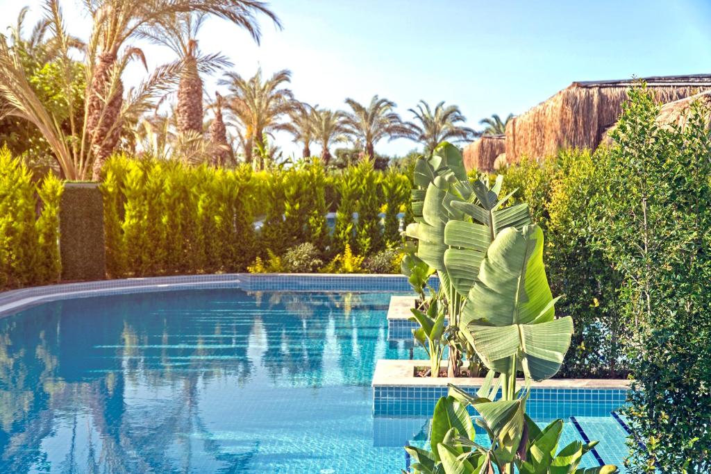 Royal Wings Hotel, Lara (updated prices 2025)
