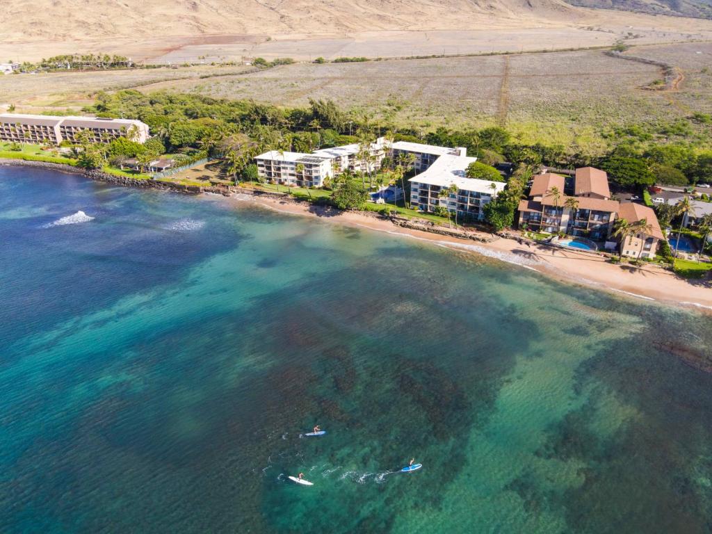 Kanai A Nalu 310, Wailuku (updated prices 2025)