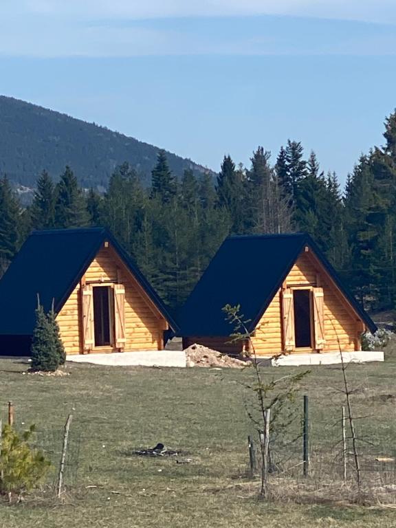Podgora 1, Žabljak (precios actualizados 2025)
