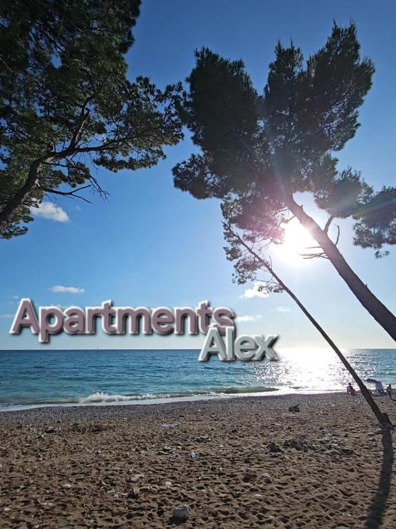 Apartments Alex, Bar (precios actualizados 2025)