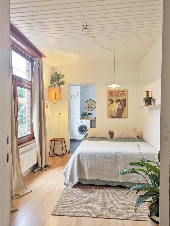 Eglantier, Antwerp (updated prices 2025)