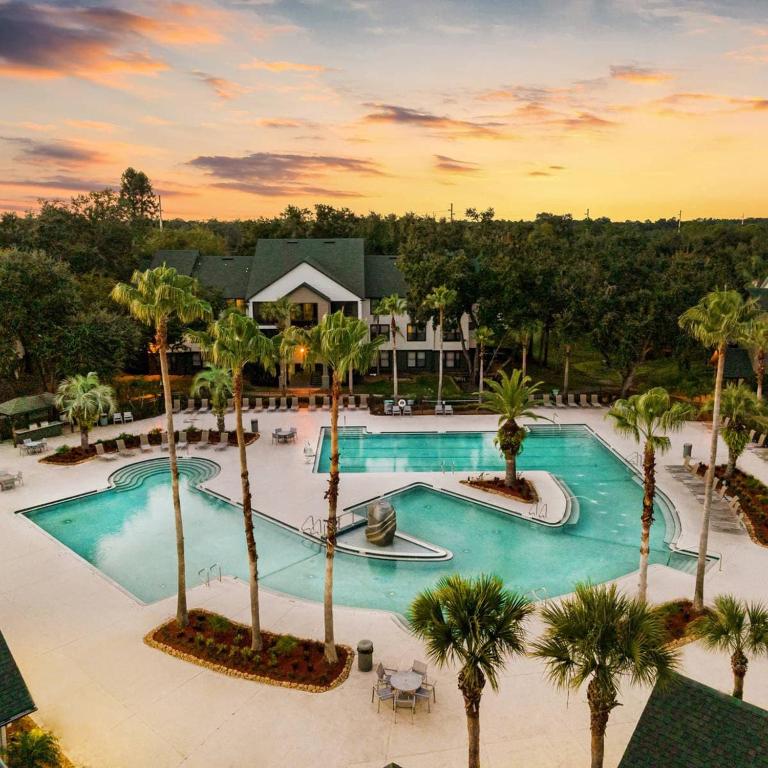 3 MI to USF Pool GYM & Pet Friendly（タンパ）：（最新料金：2025年）