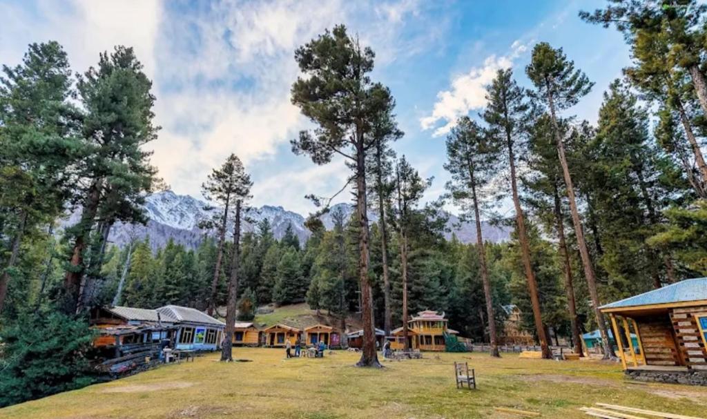 Green Land resort Fairy meadows Pakistan（ギルギット）：（最新料金：2024年）