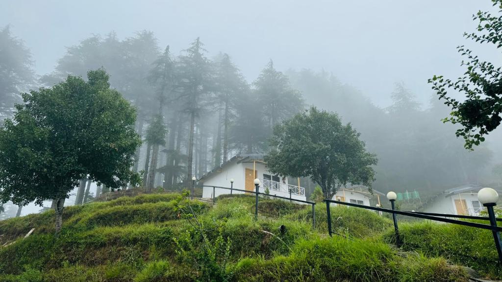 The Deodar Stays, Kanatal (updated prices 2025)
