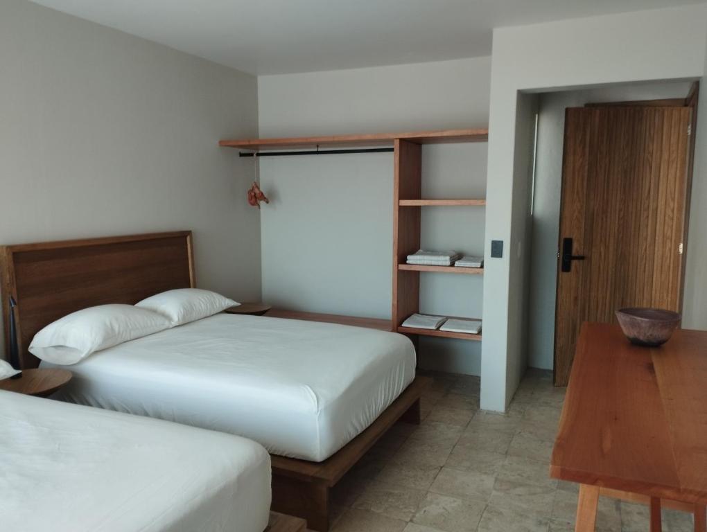 Mono 205, Oaxaca City (updated prices 2025)