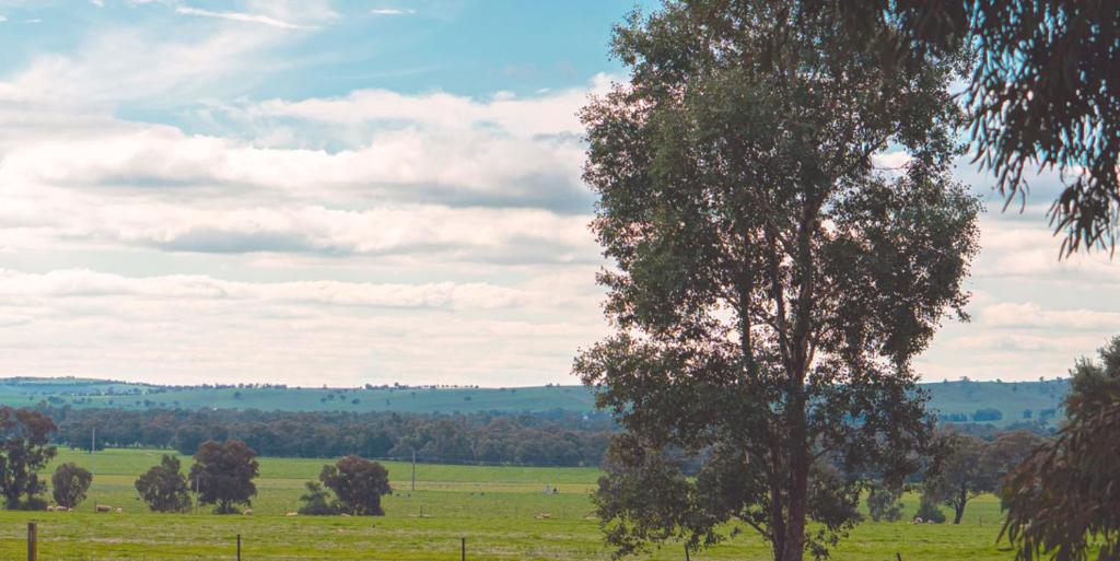 Wagga Wagga Tourist Park, Wagga Wagga (updated prices 2026)